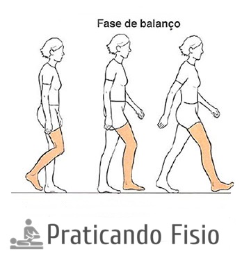Praticando Fisio | Fases da Marcha Humana – Biomecânica da Marcha